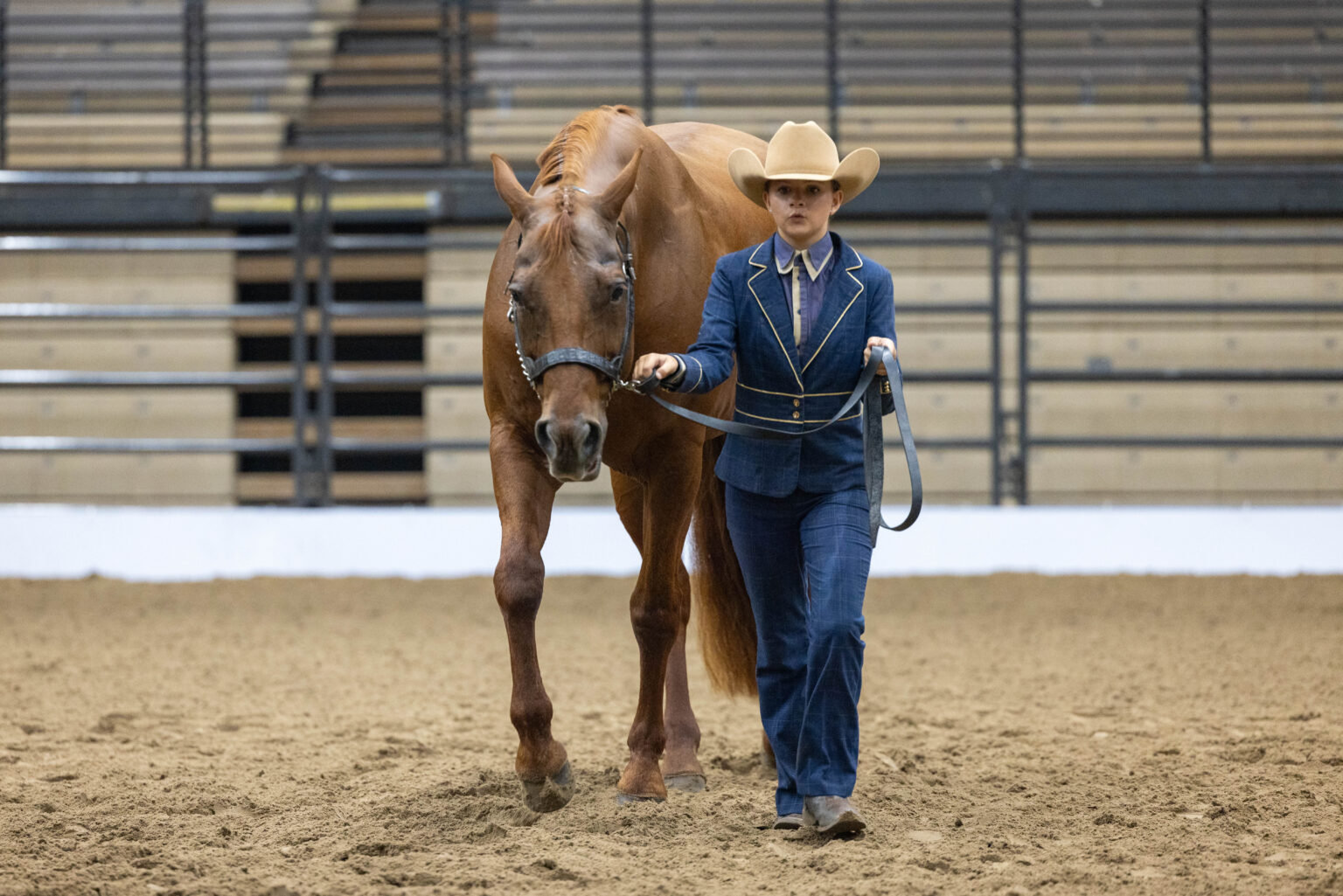 Championing Food and Agriculture | American Royal